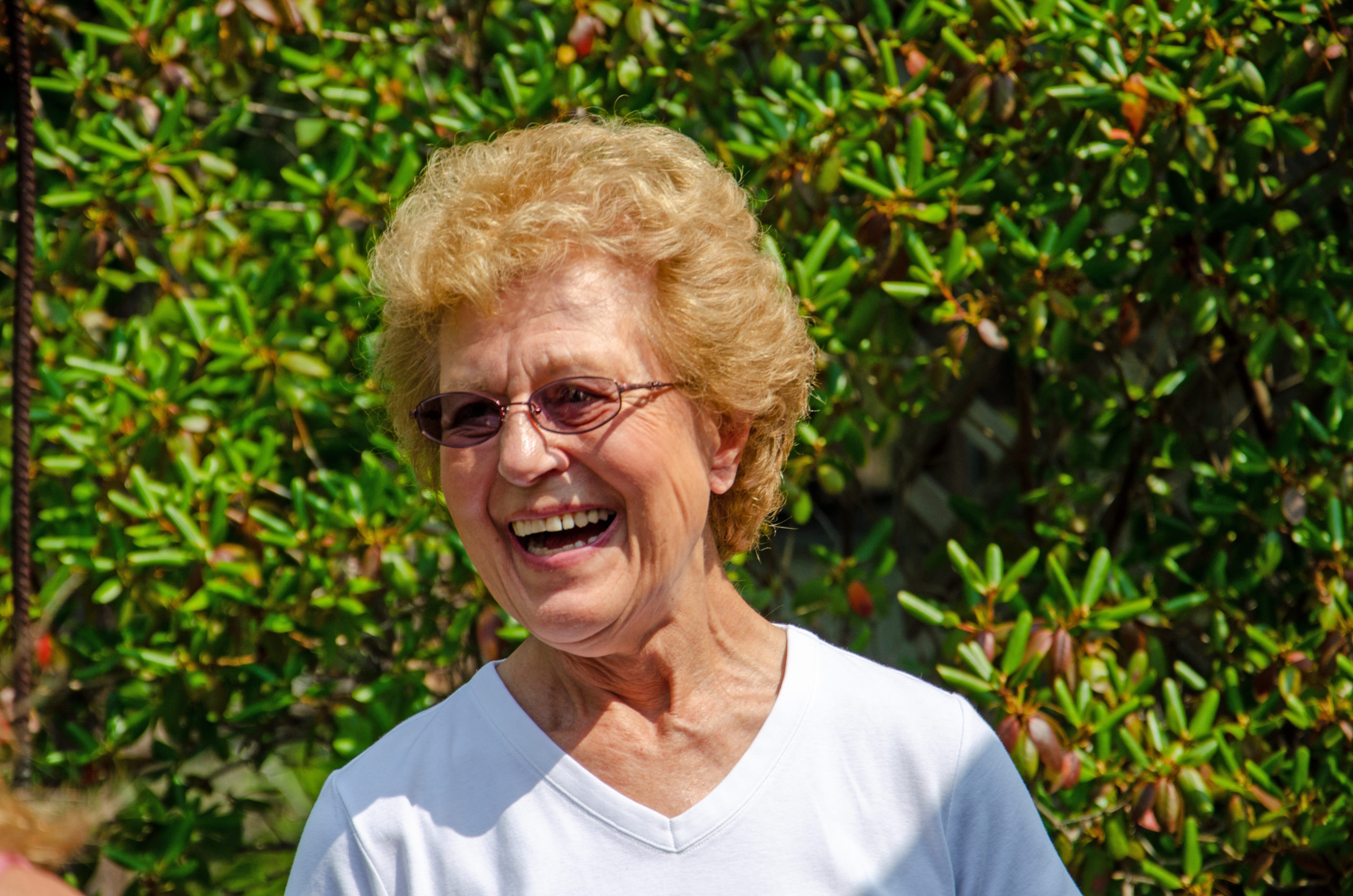 2015 Family Gathering Bannister Family